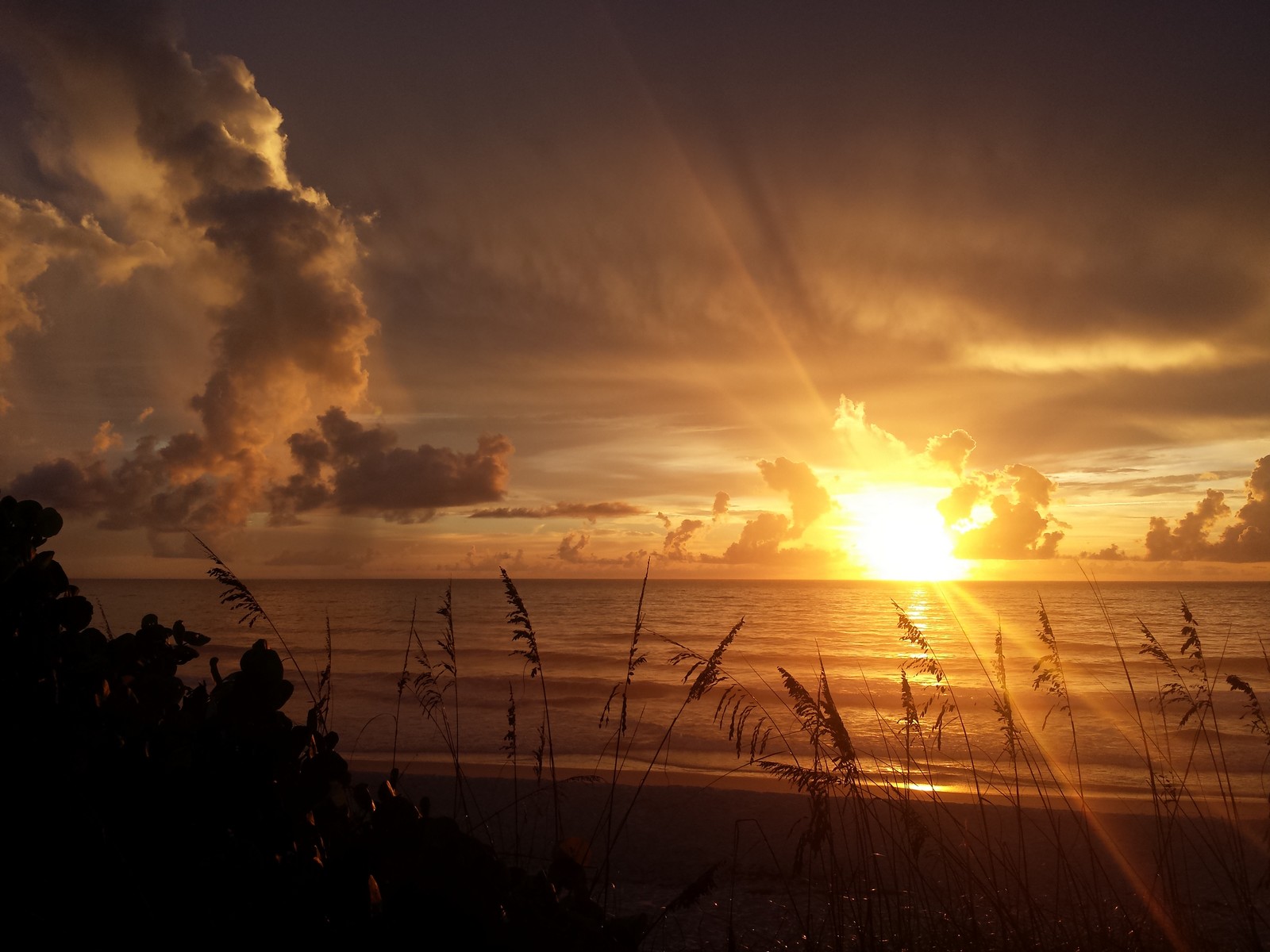 The Natural Man │ Exegetical Counseling │ Christ Assembly